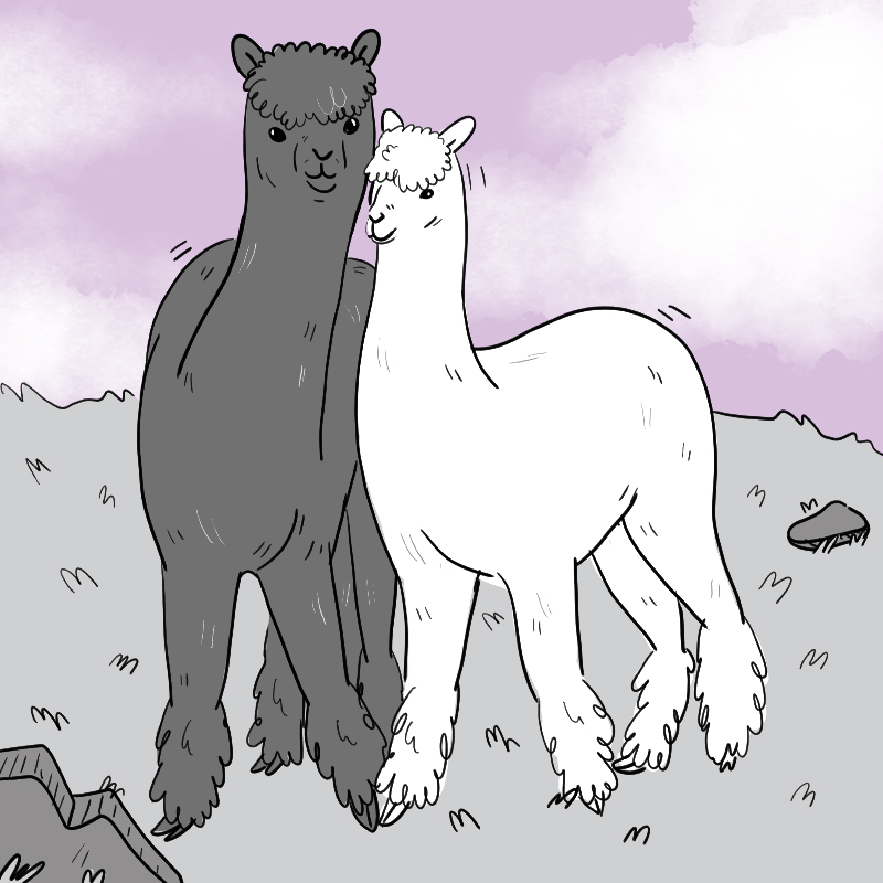 Emily Lewis – Beez & Lavender